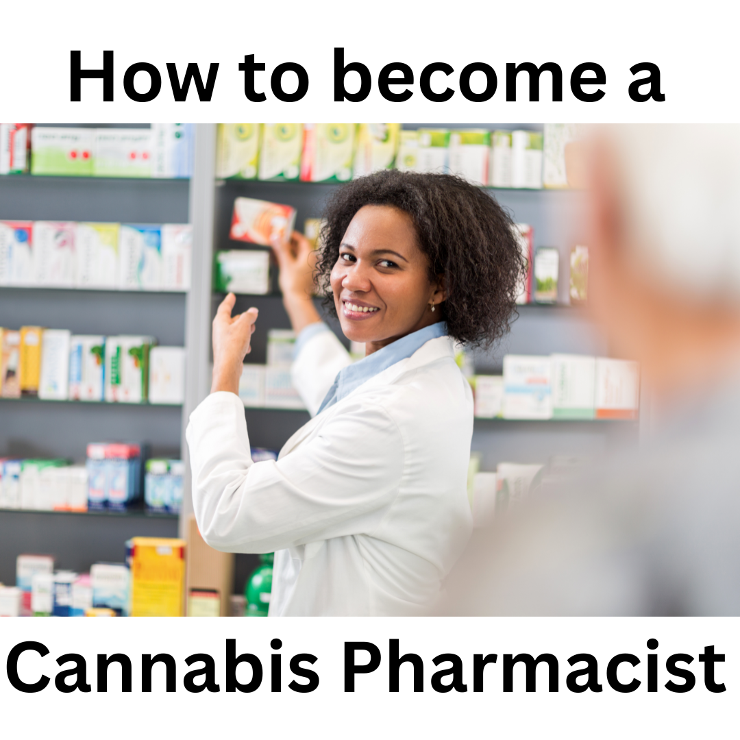 How to Become a Cannabis Pharmacist in the United States ...
